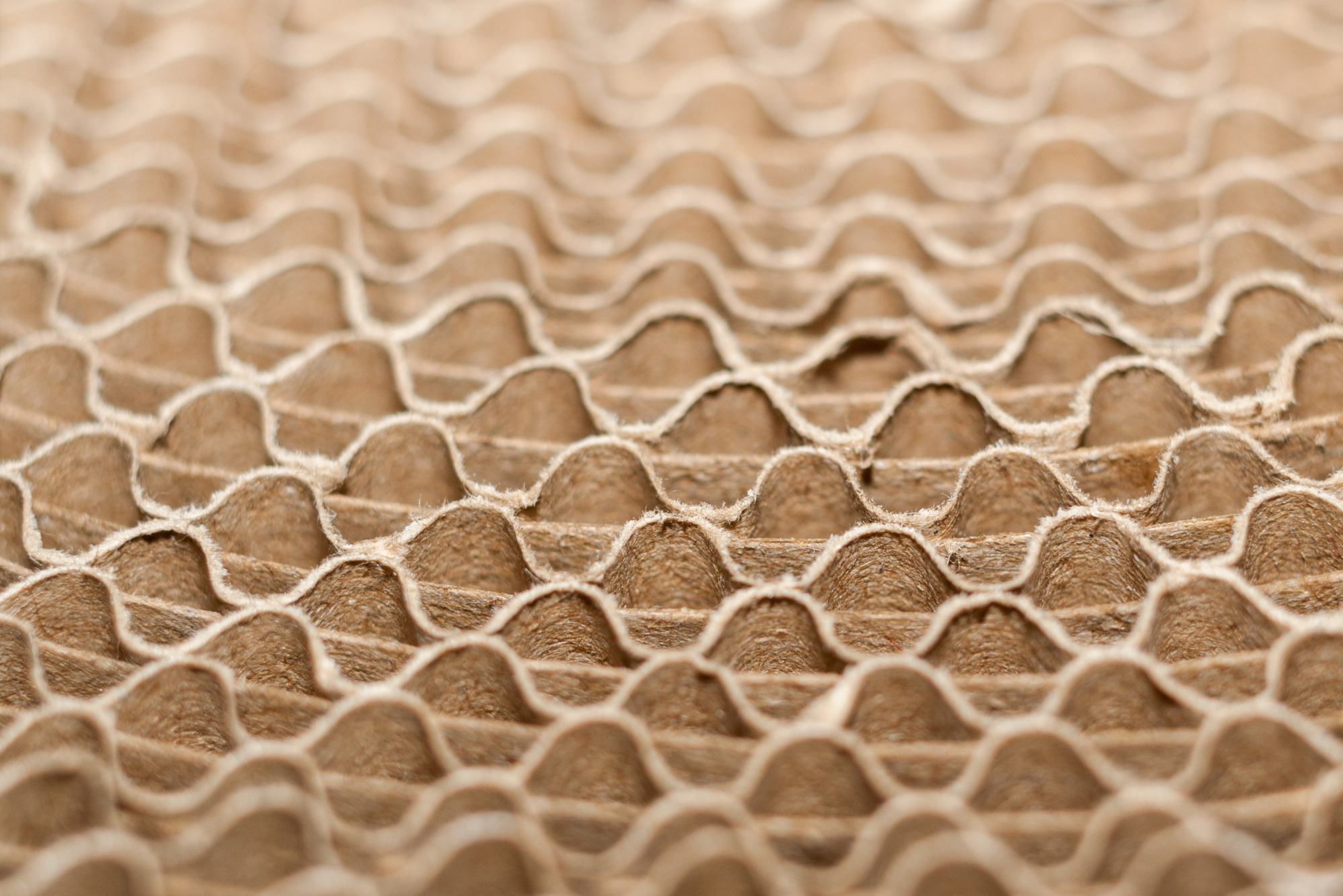 CNG’s Spicers Paper/PPI Adds to Packaging Business, Acquires Southern ...