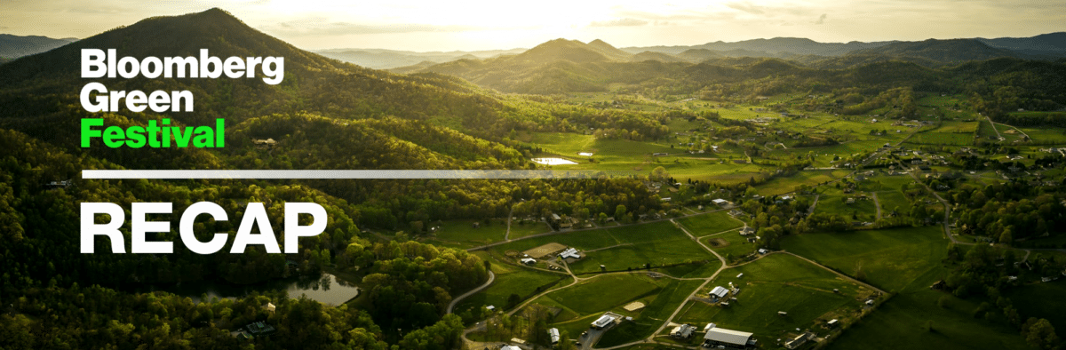 International Paper discusses Sustainable Forests at Bloomberg Green ...